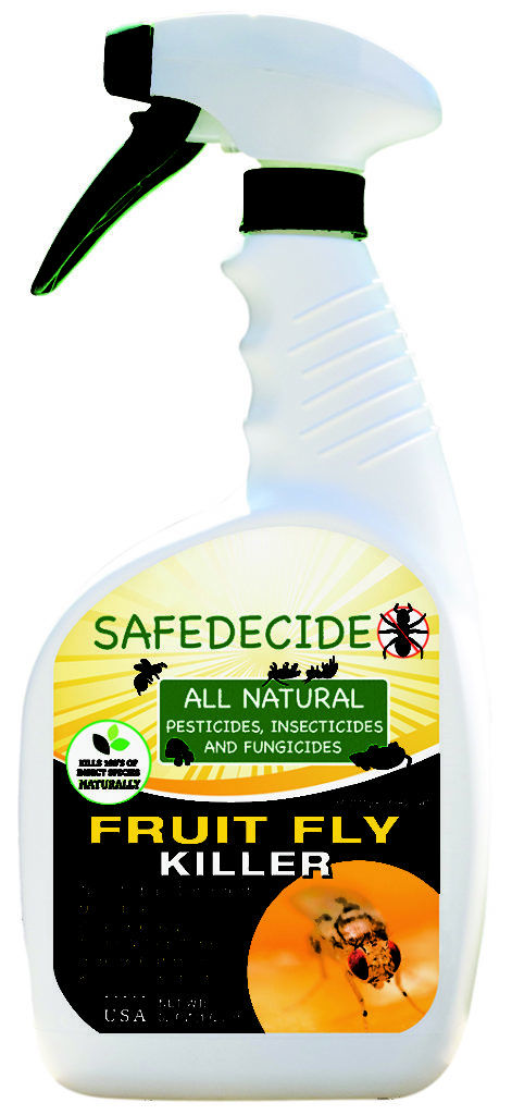Fruit Fly Killer - Safedecide